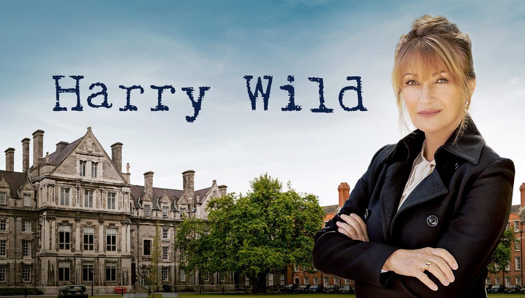 Harry Wild - AMC+AMC+