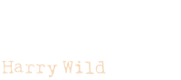 Harry Wild - AMC+AMC+
