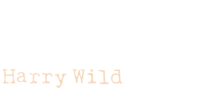Harry Wild - AMC+AMC+